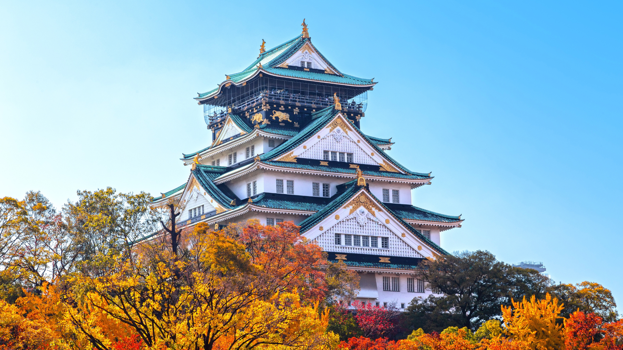 5-Day Tokyo and Osaka Itinerary You Can't Miss: A Complete Guide for ...